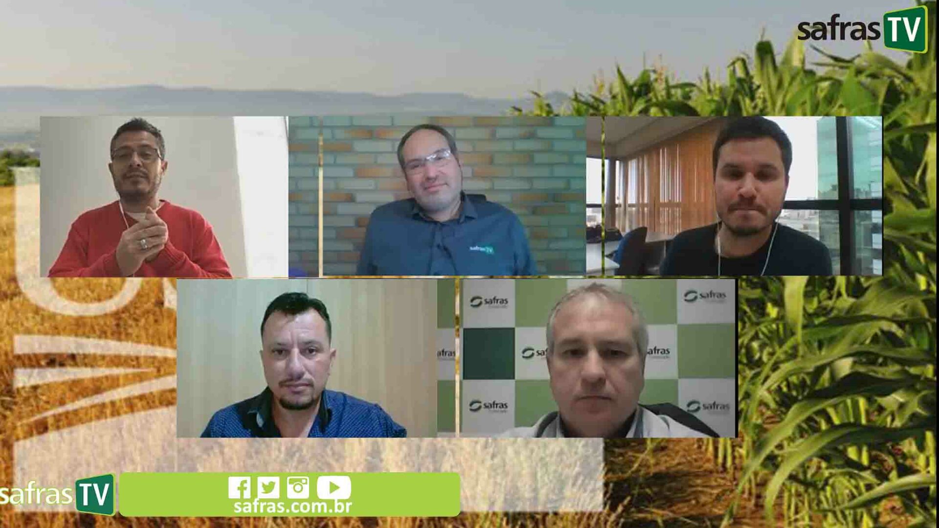 USDA surpreende mercados de soja, milho e trigo - RESENHA SAFRAS ...