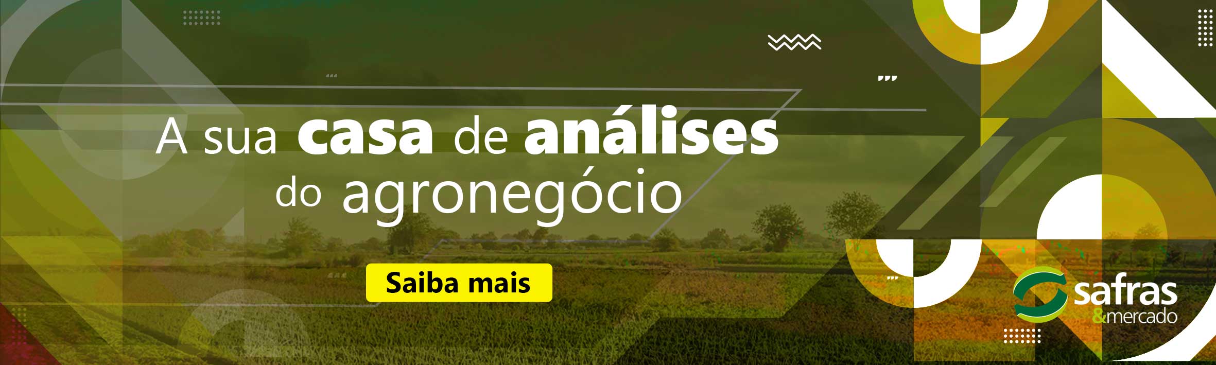 Home - SAFRAS & Mercado
