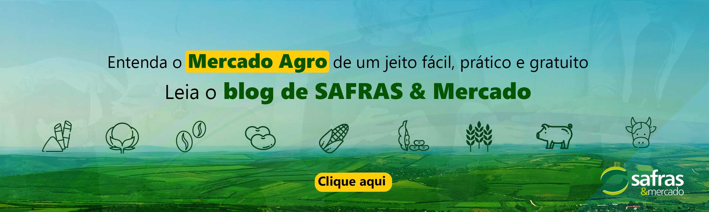 Home - SAFRAS & Mercado