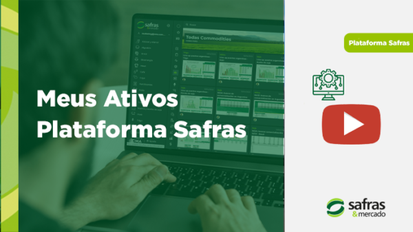 Aprenda a configurar seus Ativos e Gráficos na Plataforma Safras